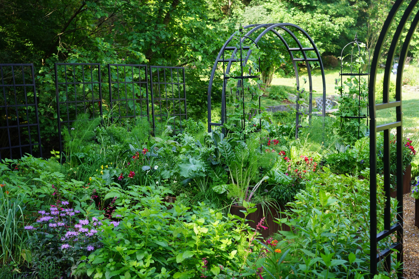 Gardenary's Nicole Arch Trellis in Raised Garden Beds • Gardenary