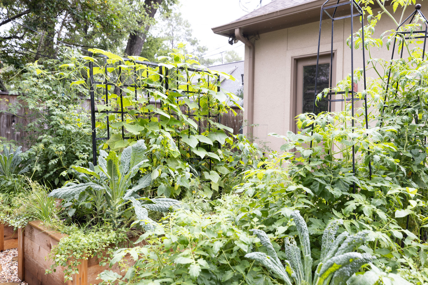 What Is A Kitchen Garden Gardenary What Is A Kitchen Garden Gardenary