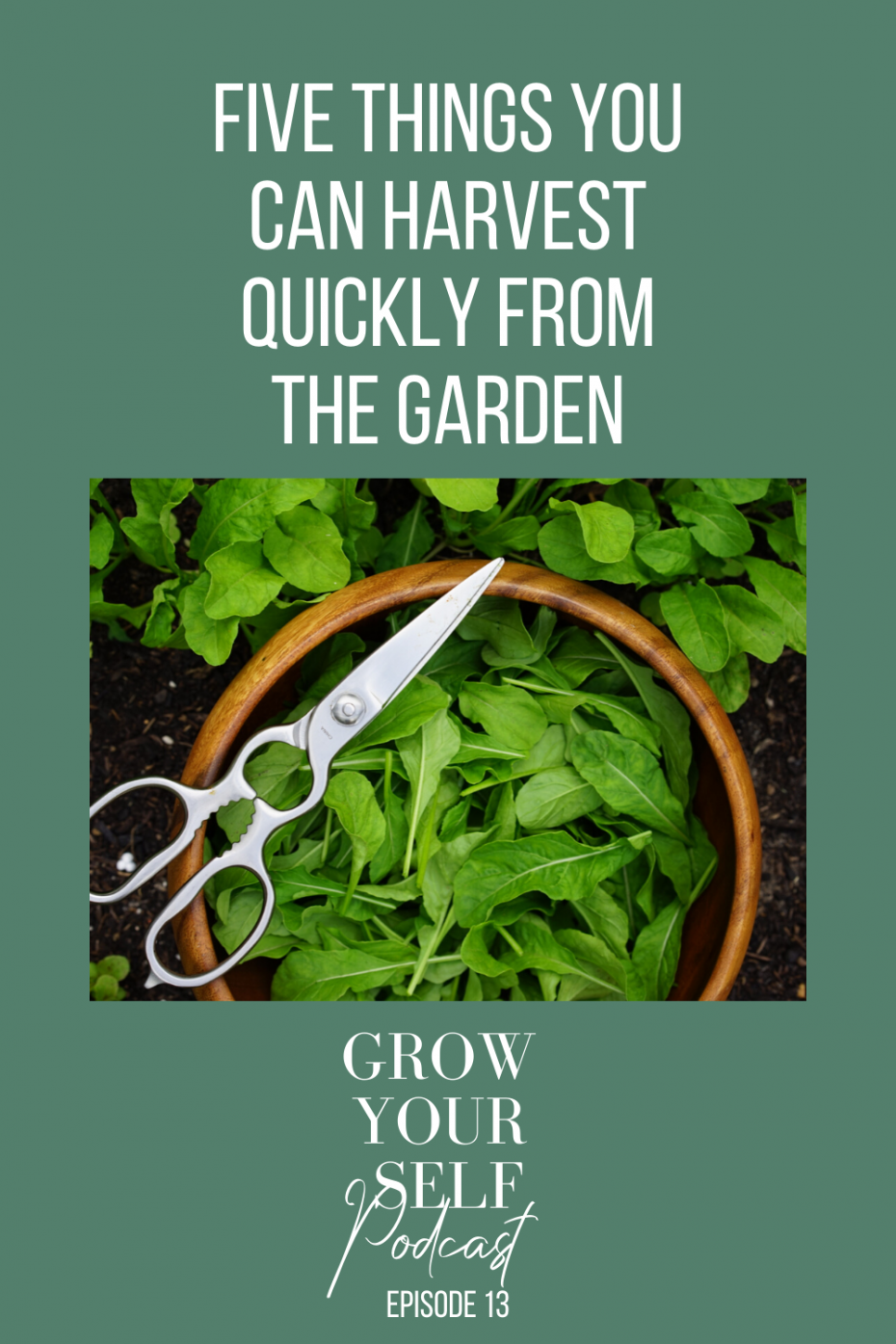 Five Things to Grow for a Quick Harvest • Gardenary