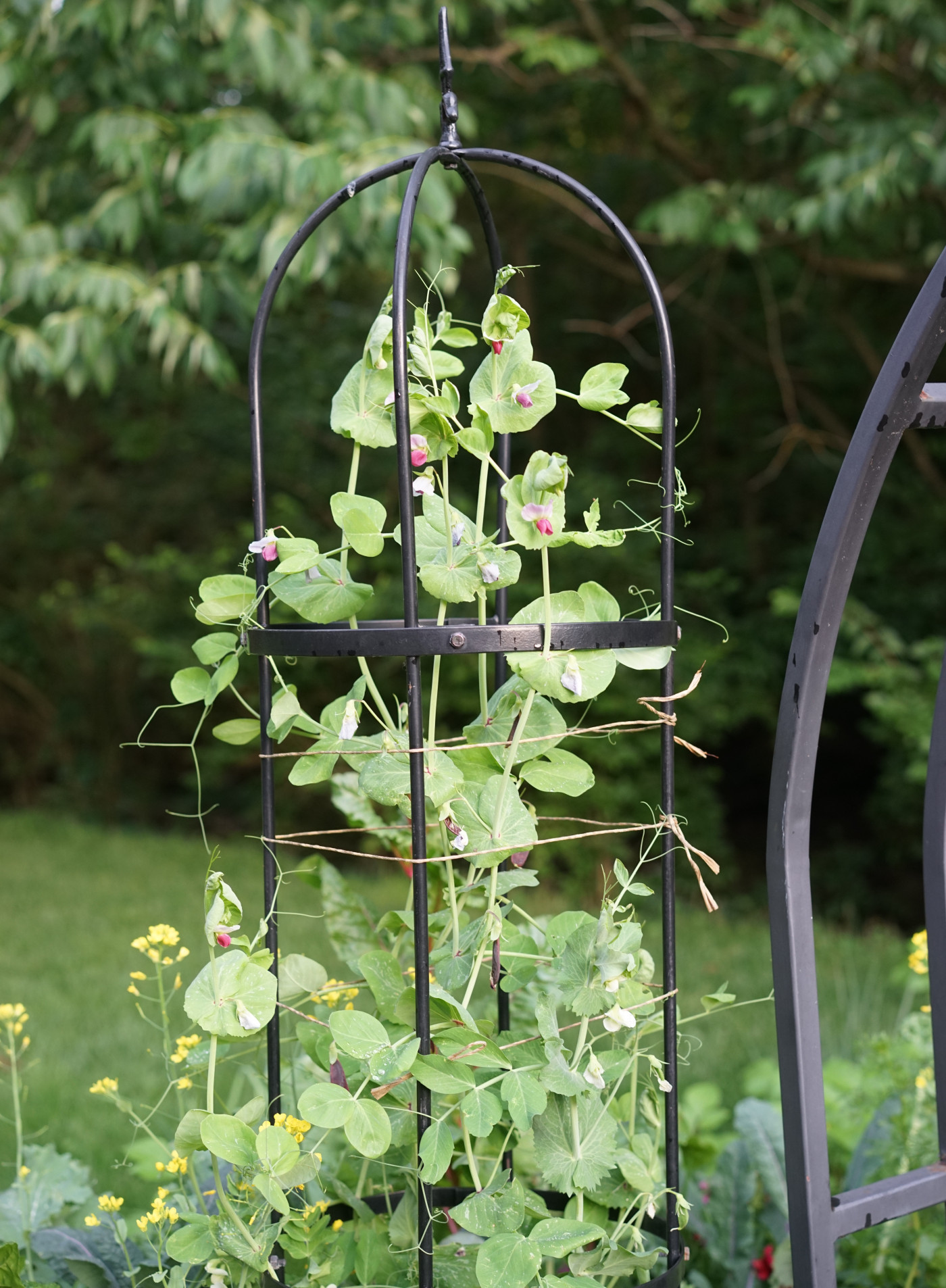 10 Things to Do in Winter to Prepare for Your Spring Garden • Gardenary