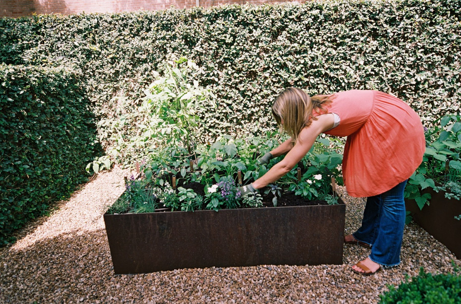 3 Steps to Set Up A Kitchen Garden • Gardenary