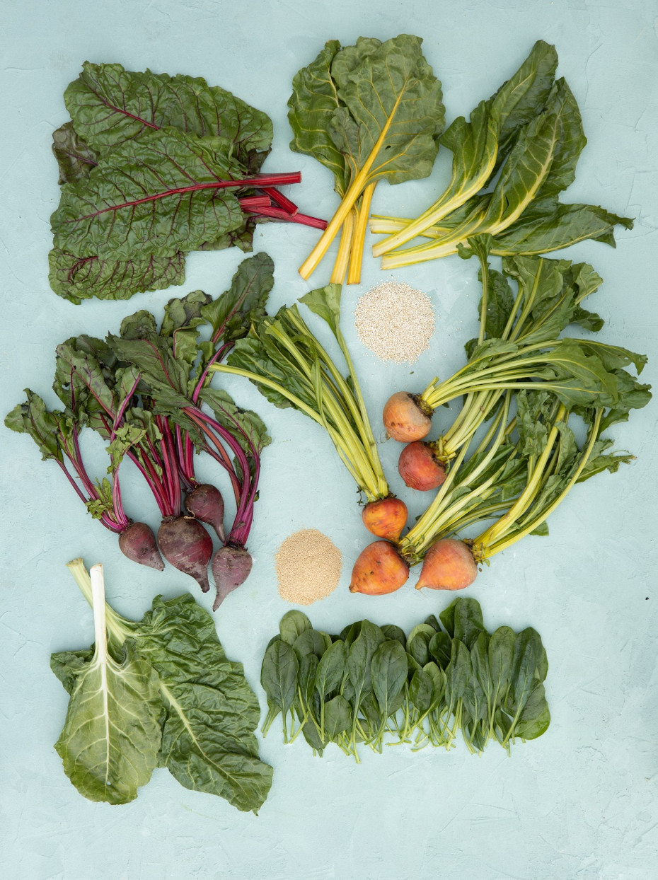 How to Harvest Swiss Chard • Gardenary
