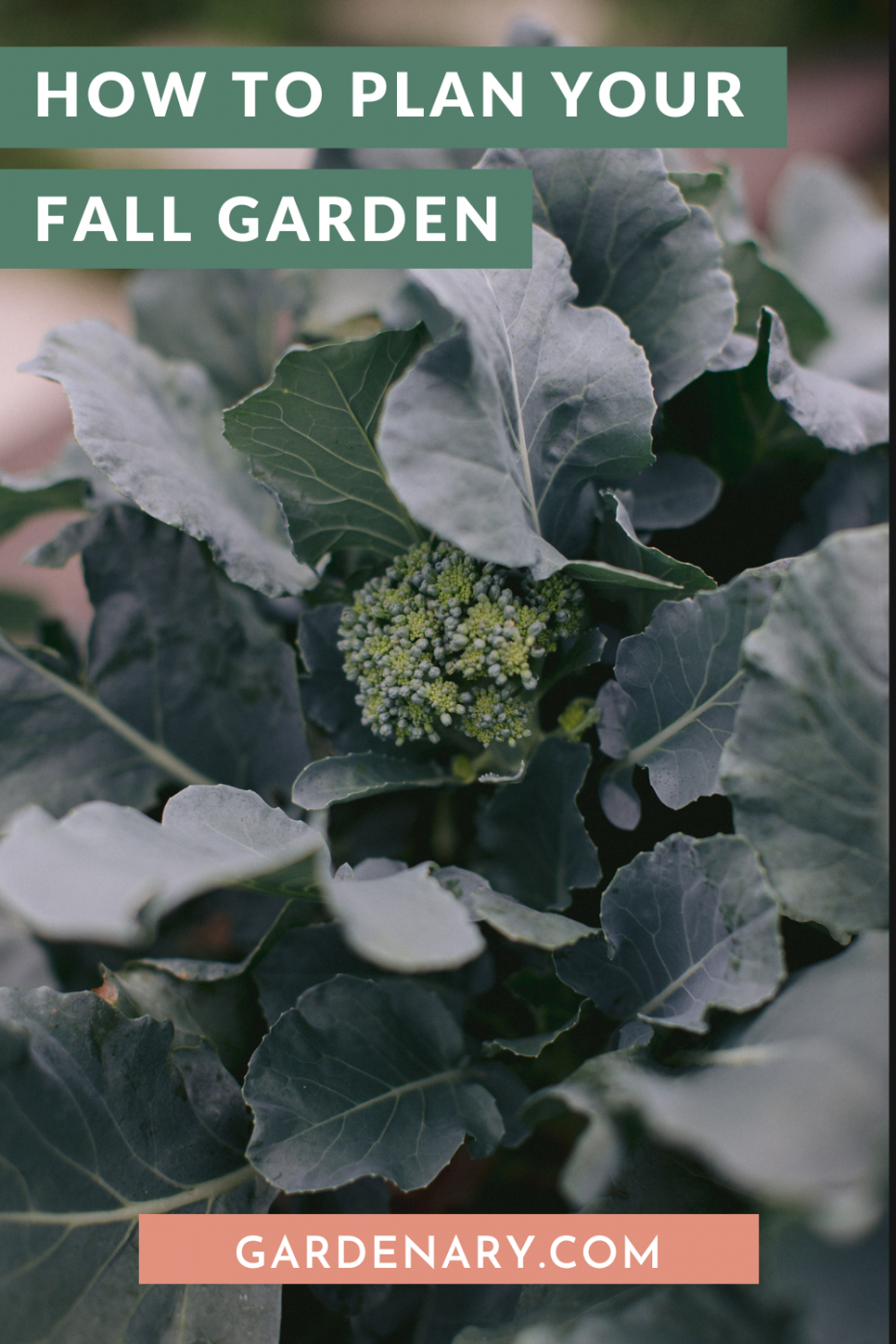 How to Plan Your Fall Garden • Gardenary