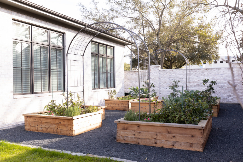 3 Tips to Grow Houseplants Yourself with Maria Failla of Bloom and Grow ...