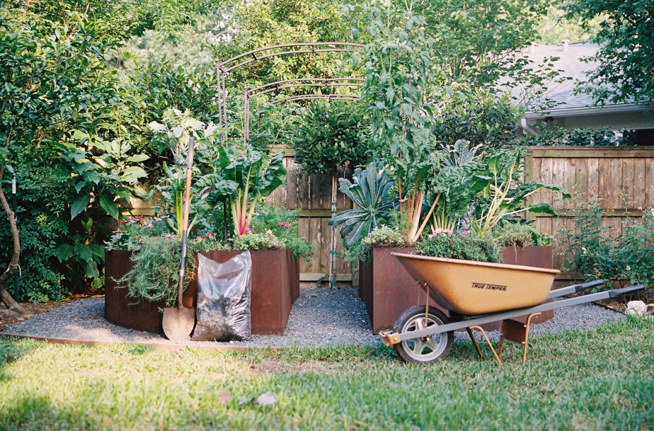 3 Essential Things to Consider When Building Raised Beds for a Kitchen ...