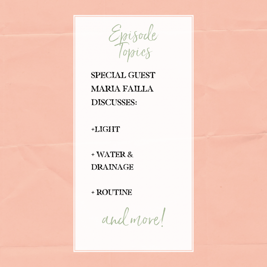 3 Tips to Grow Houseplants Yourself with Maria Failla of Bloom and Grow ...