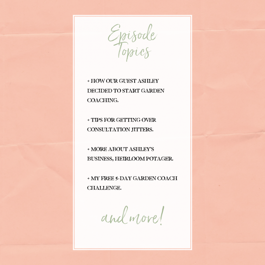 Behind the Scenes of Building a Garden Coach Business • Gardenary