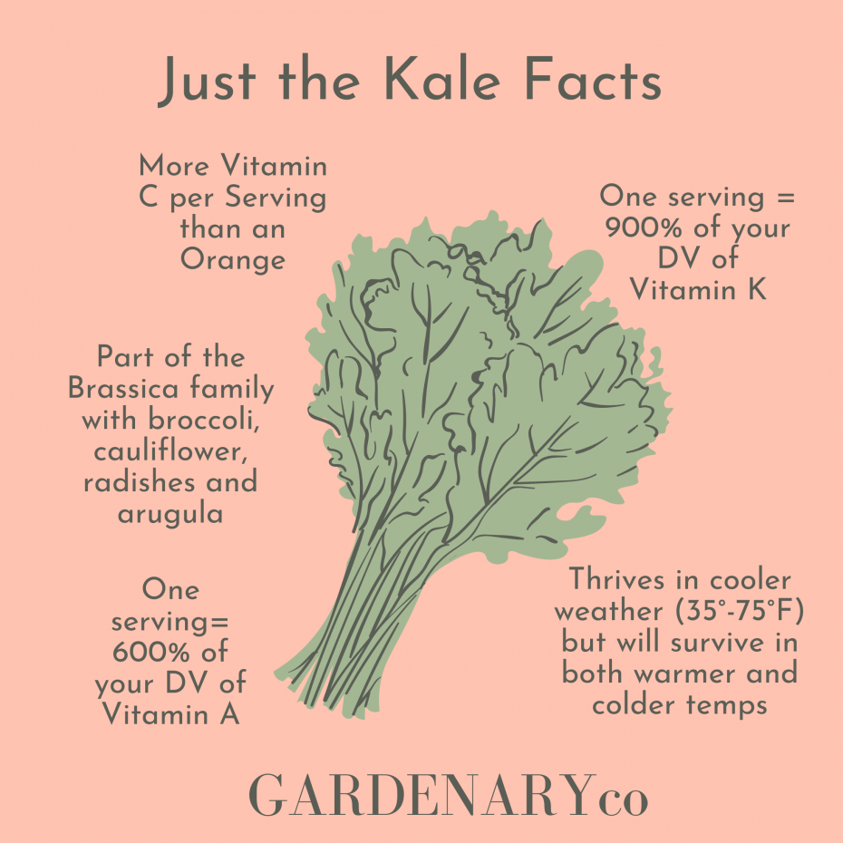Episode 004: Kale Yeah! • Gardenary