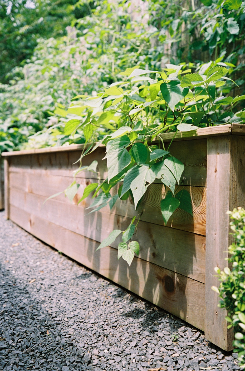 3 Steps to Set Up A Kitchen Garden • Gardenary