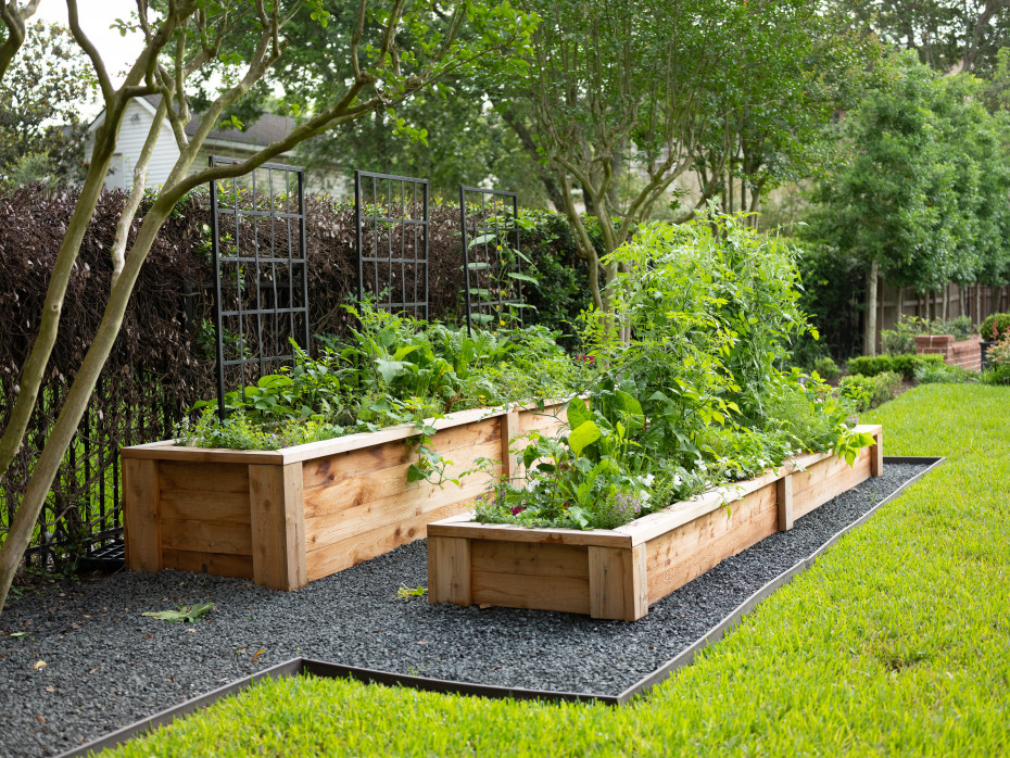 The Perfect Height For Raised Garden Beds A Complete Guide For 2025 The Perfect Height For Raised Garden Beds A Complete Guide For 2025