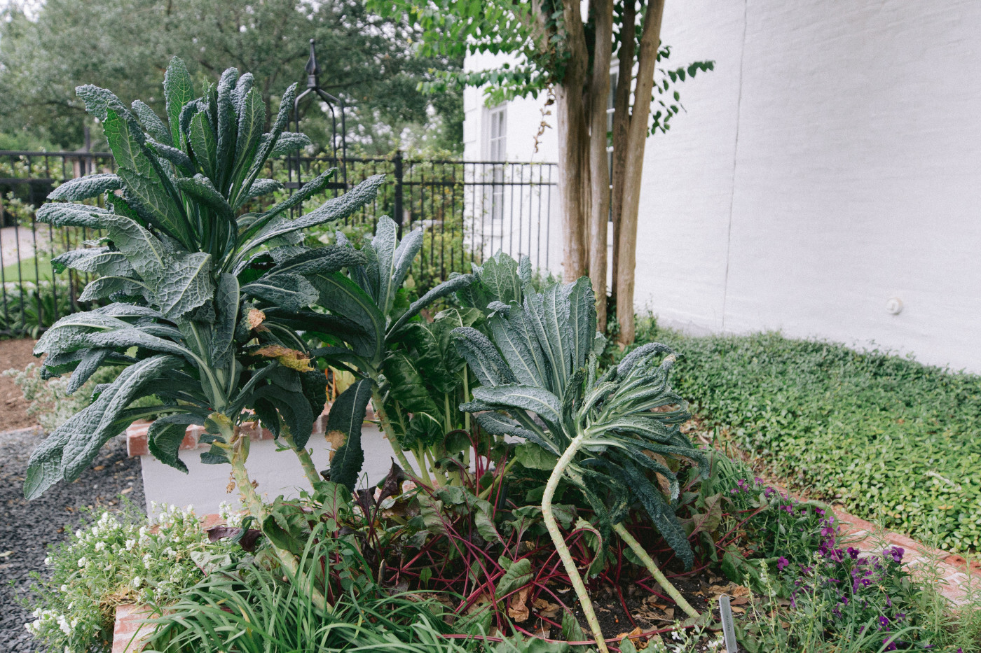 Here's Your Garden Checklist for November • Gardenary